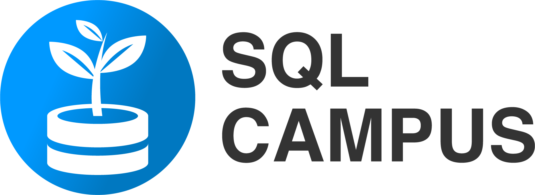 SQL course with Interactive exercises and unlimited Sandbox - SQL Campus